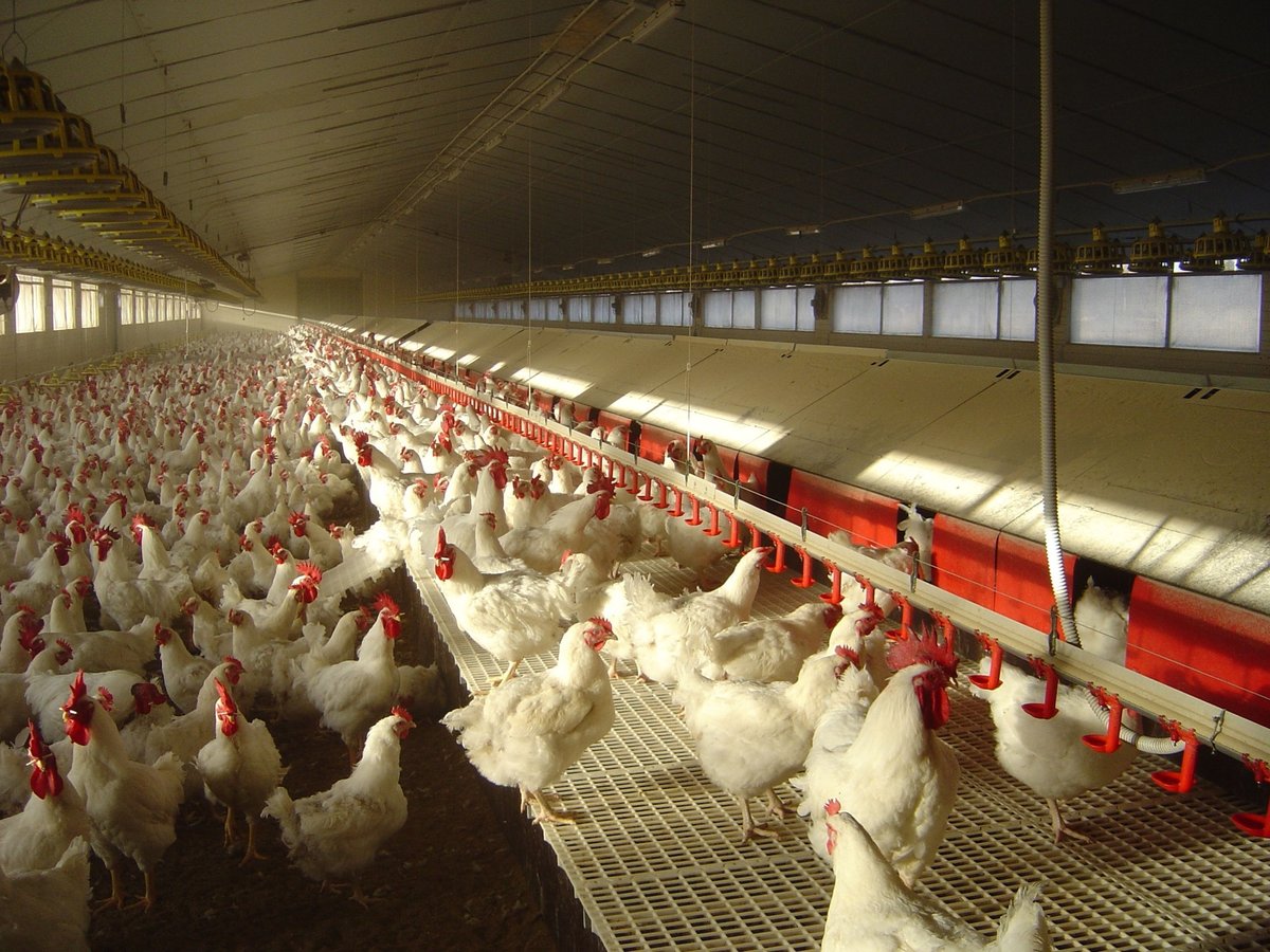 Van Gent - Vencomatic Group